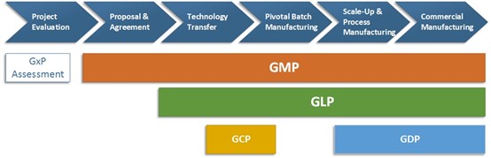 What are GxPs and How Do They Shape the Quality of Your Pharmaceutical ...